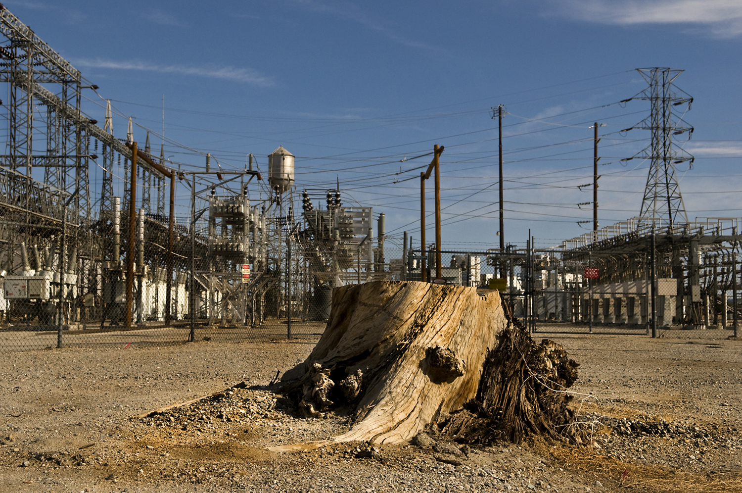 indus-tree | The Let Go